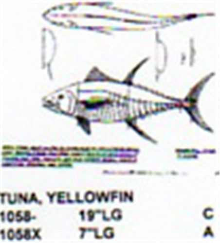 Yellowfin Tuna Mouth Slightly Open 7" Long Hummul Carving Company ...