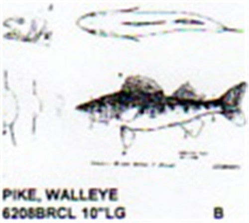 Walleye Pike Mouth Closed 10" Long Color Hummul Carving Company ...