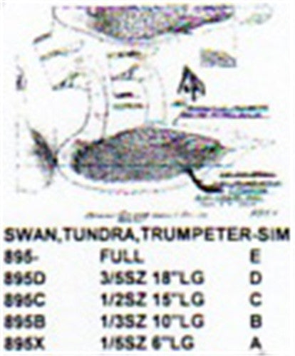 Tundra Trumpeter Swan Carving Pattern Hummul Carving Company – Cherry ...