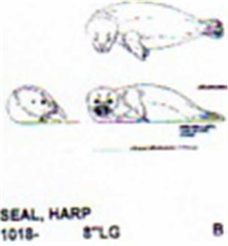 Baby Harp Seal On Side 8" Long Hummul Carving Company – Cherry Tree Toys