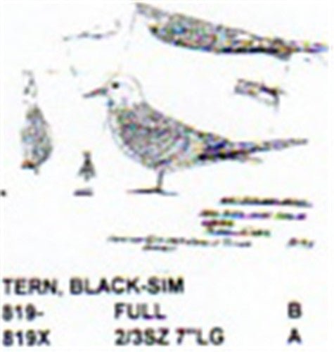 Black Tern Standing Hummul Carving Company – Cherry Tree Toys