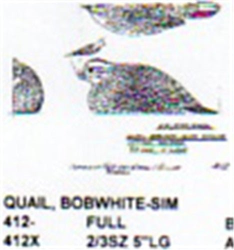 Bobwhite Quail Setting Carving Pattern Hummul Carving Company – Cherry ...