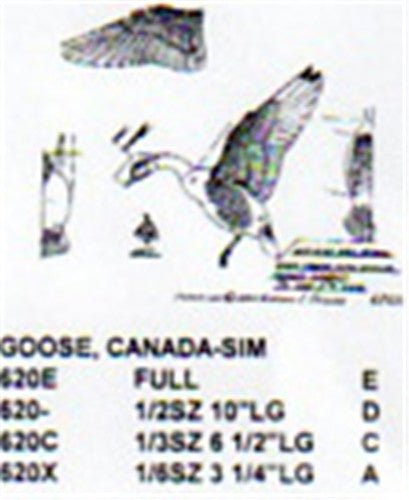 Canada Goose Flying-Landing 1/3 Size Hummul Carving Company – Cherry ...