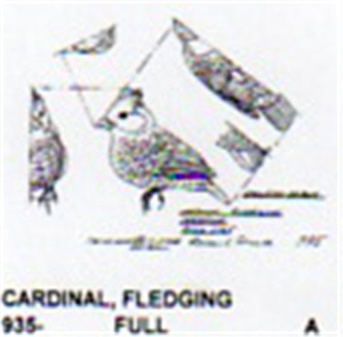 Cardinal Fledging Carving Pattern Hummul Carving Company – Cherry Tree Toys