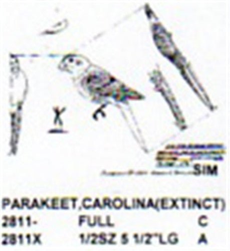 Carolina Parakeet Perching Hummul Carving Company – Cherry Tree Toys