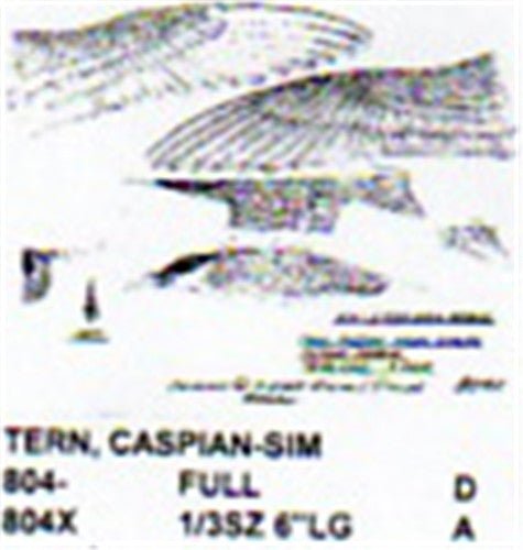 Caspian Tern Flying/Soaring Hummul Carving Company – Cherry Tree Toys