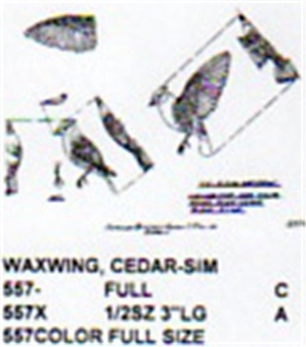 Cedar Waxwing Carving Pattern Hummul Carving Company – Cherry Tree Toys