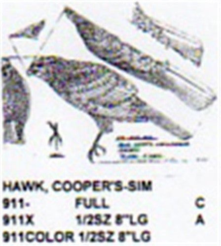 Coopers Hawk Perching Carving Pattern Hummul Carving Company – Cherry ...