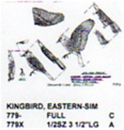 Eastern Kingbird Carving Pattern Hummul Carving Company – Cherry Tree Toys