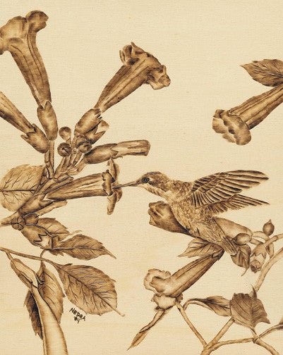 Hummingbird Woodburning Plan – Cherry Tree Toys