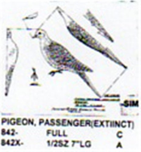 Passenger Pigeon Perching Hummul Carving Company – Cherry Tree Toys