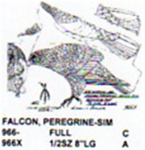 Peregrine Falcon Aggressive Pose Carving Pattern Hummul Carving Company ...