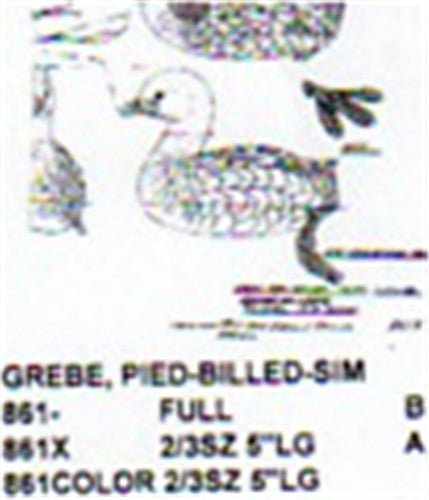 Pied Billed Grebe Resting On Water 2/3 Size Hummul Carving Company ...