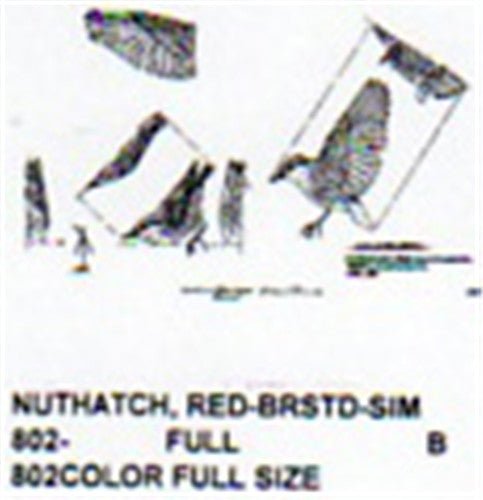 Red Breasted Nuthatch Perched/Flying/Landing Hummul Carving Company ...