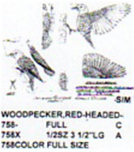 Red Headed Woodpecker Carving Pattern Hummul Carving Company – Cherry ...
