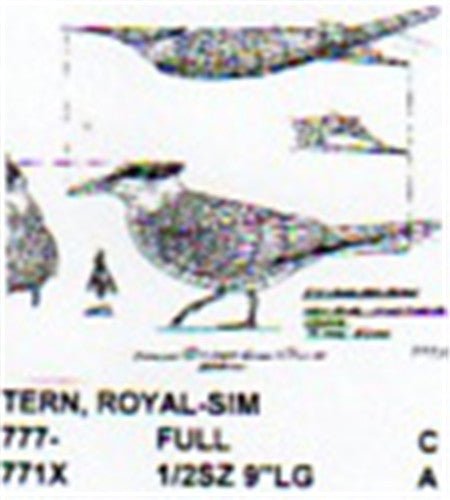 Royal Tern Walking Hummul Carving Company – Cherry Tree Toys