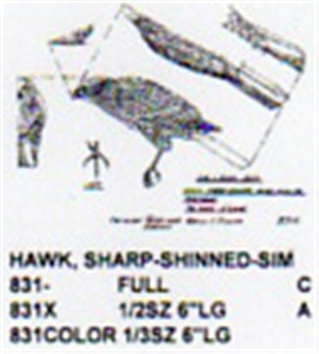 Sharp Shinned Hawk Perching Carving Pattern Hummul Carving Company ...