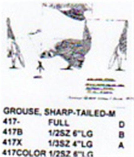 Sharp Tailed Grouse Displaying Carving Pattern Hummul Carving Company ...