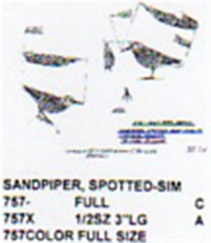 Spotted Sandpiper Standing Color Hummul Carving Company – Cherry Tree Toys