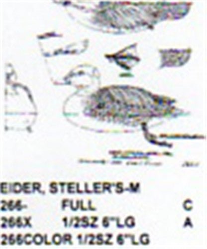 Steller's Eider Resting On Water Carving Pattern Hummul Carving Company ...
