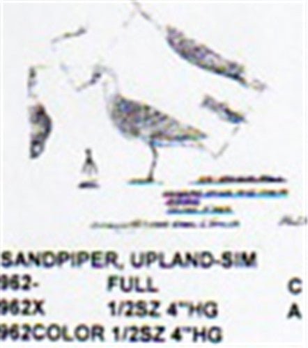Upland Sandpiper Standing 1/2 Size Hummul Carving Company – Cherry Tree ...