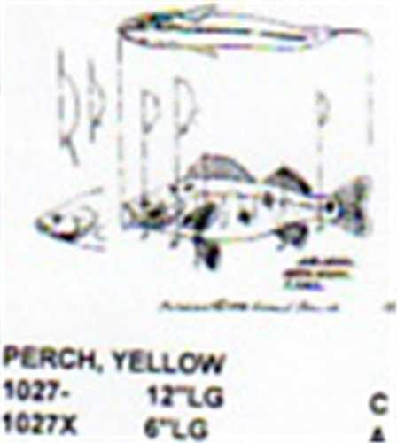 Yellow Perch Mouth Open-Mouth Closed 6" Long Hummul Carving Company ...